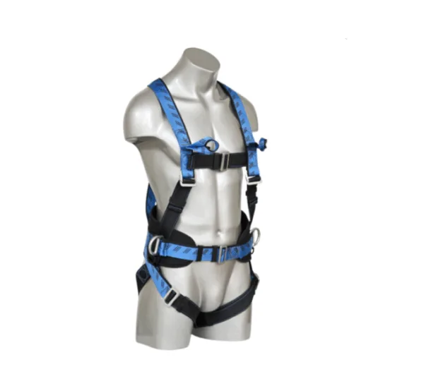 ESSENTIAL HARNESS C/W REAR D-RING, FRONT LOOPS, WORK POSITIONING BELT ...